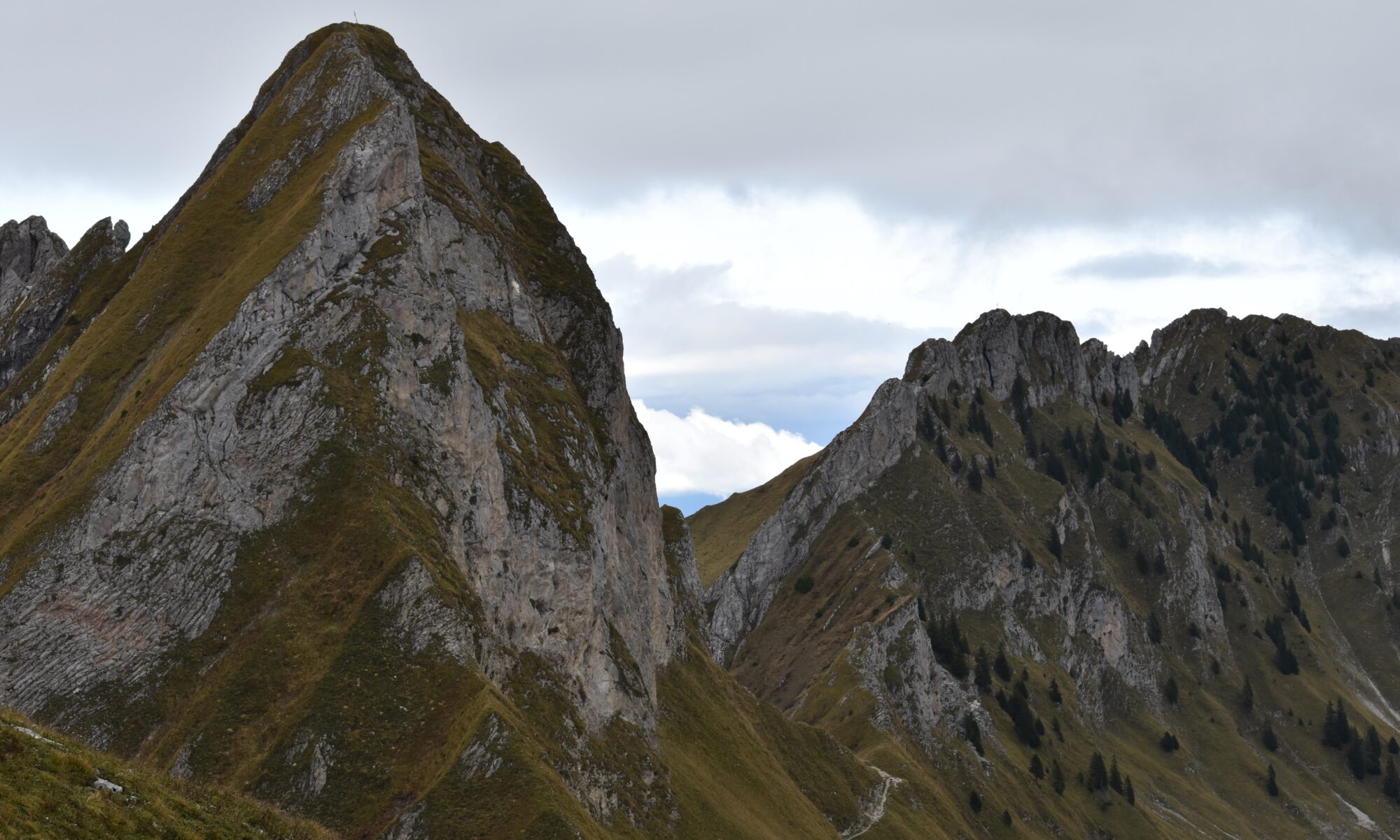 Übersetzungsbüro Wimmis | Fachübersetzungen für Firmen